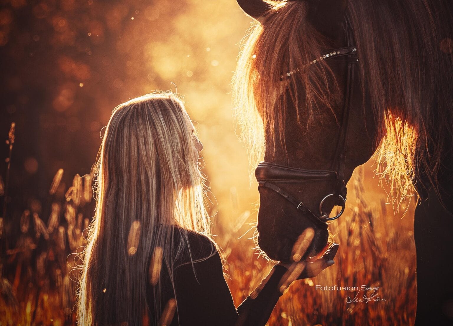 Philosophie – Julia Jacob Dressage